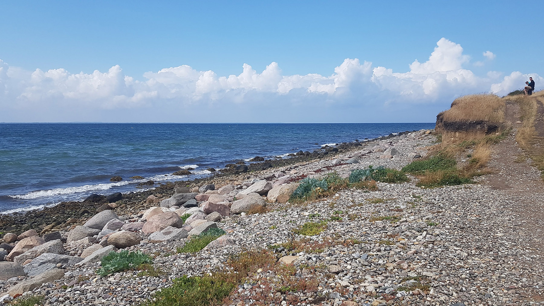 Malernes Fyn - Fyns Hoved | Kulturregion Fyn